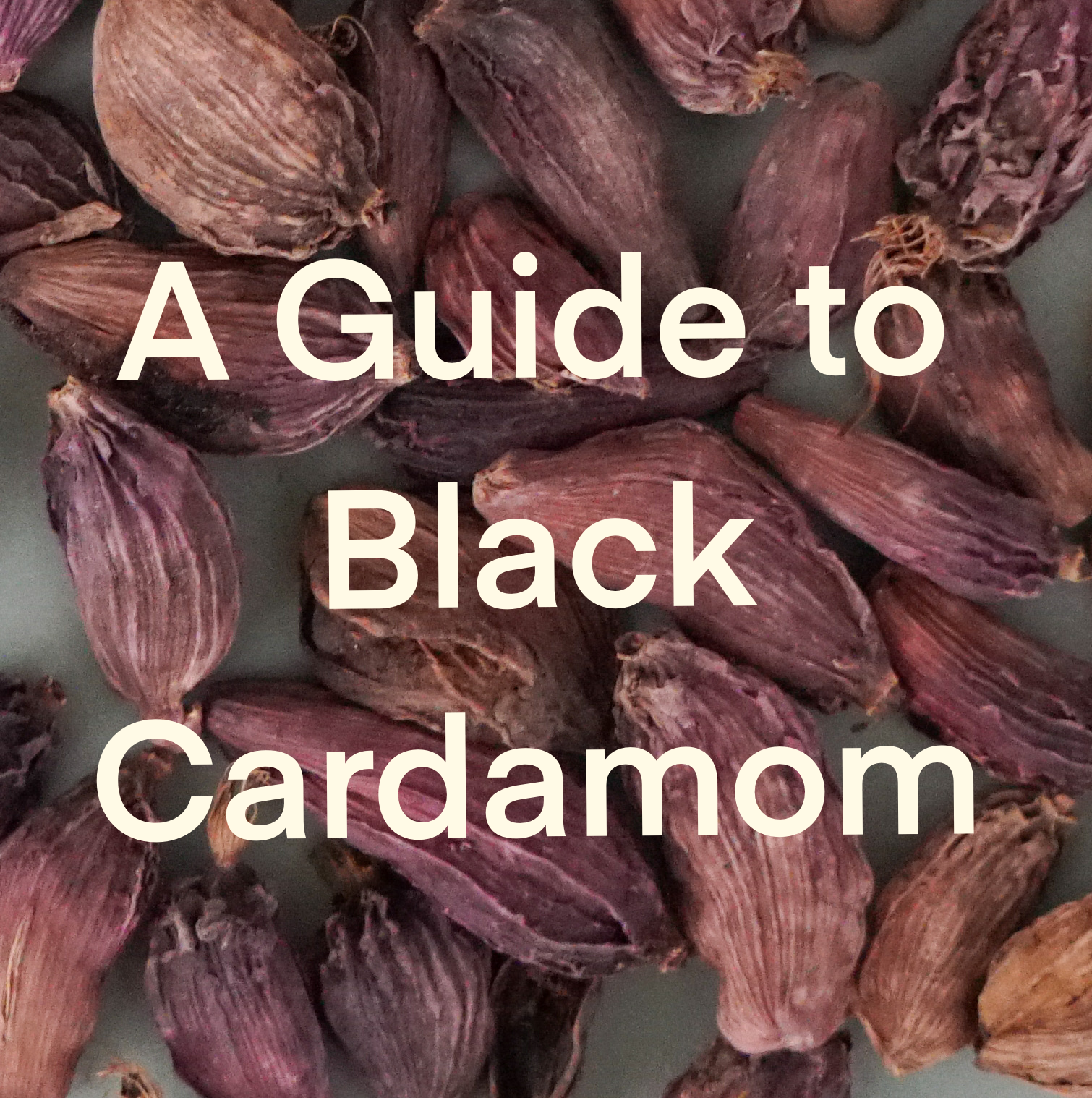 What is Black Cardamom and How to Use it? – Sourcery